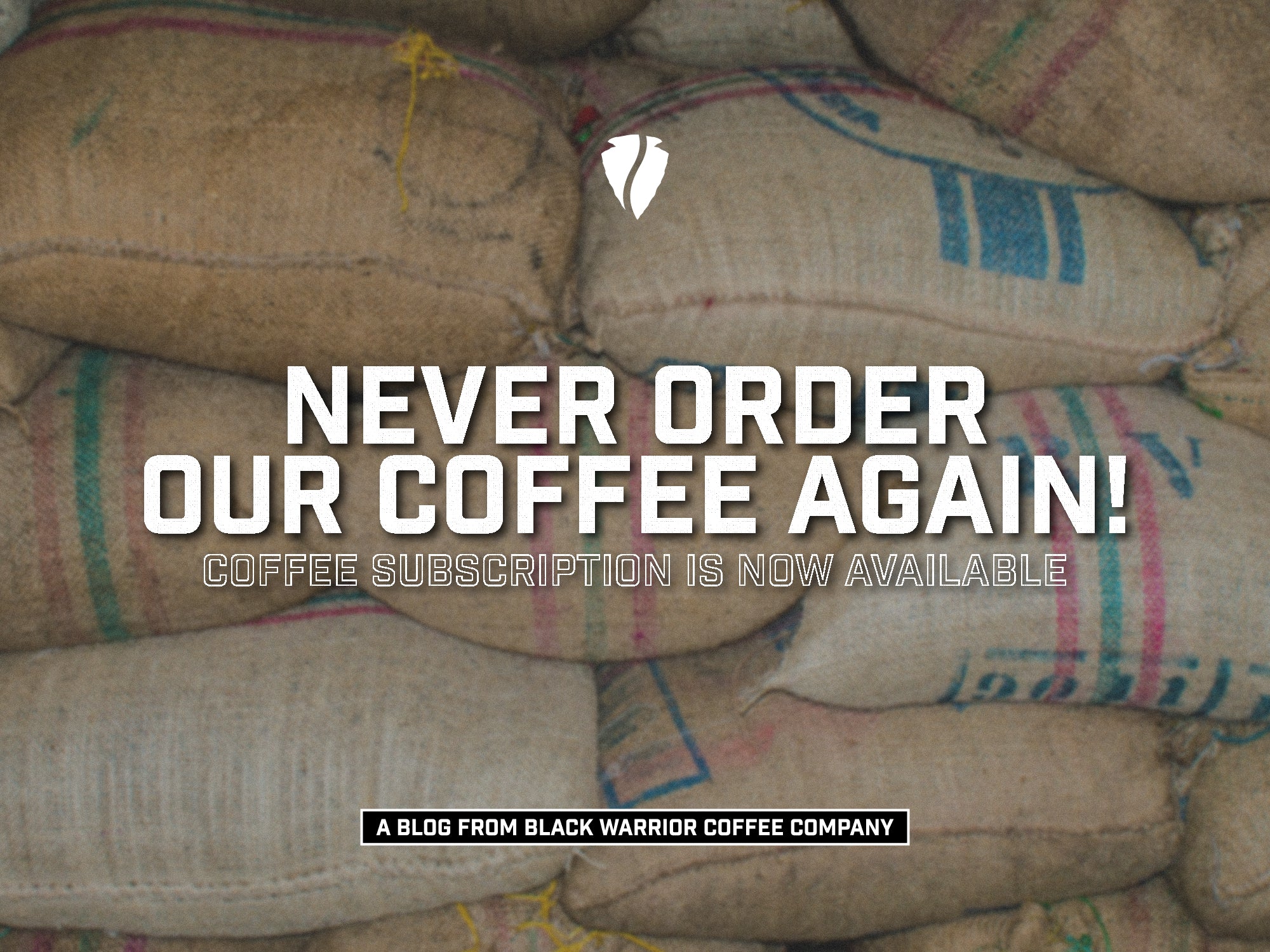 Never Order Black Warrior Coffee Again